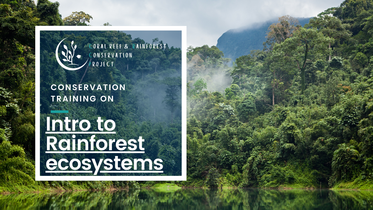 introduction-to-rainforests-ecosystems – Coral Reef & Rainforest Conservation Project