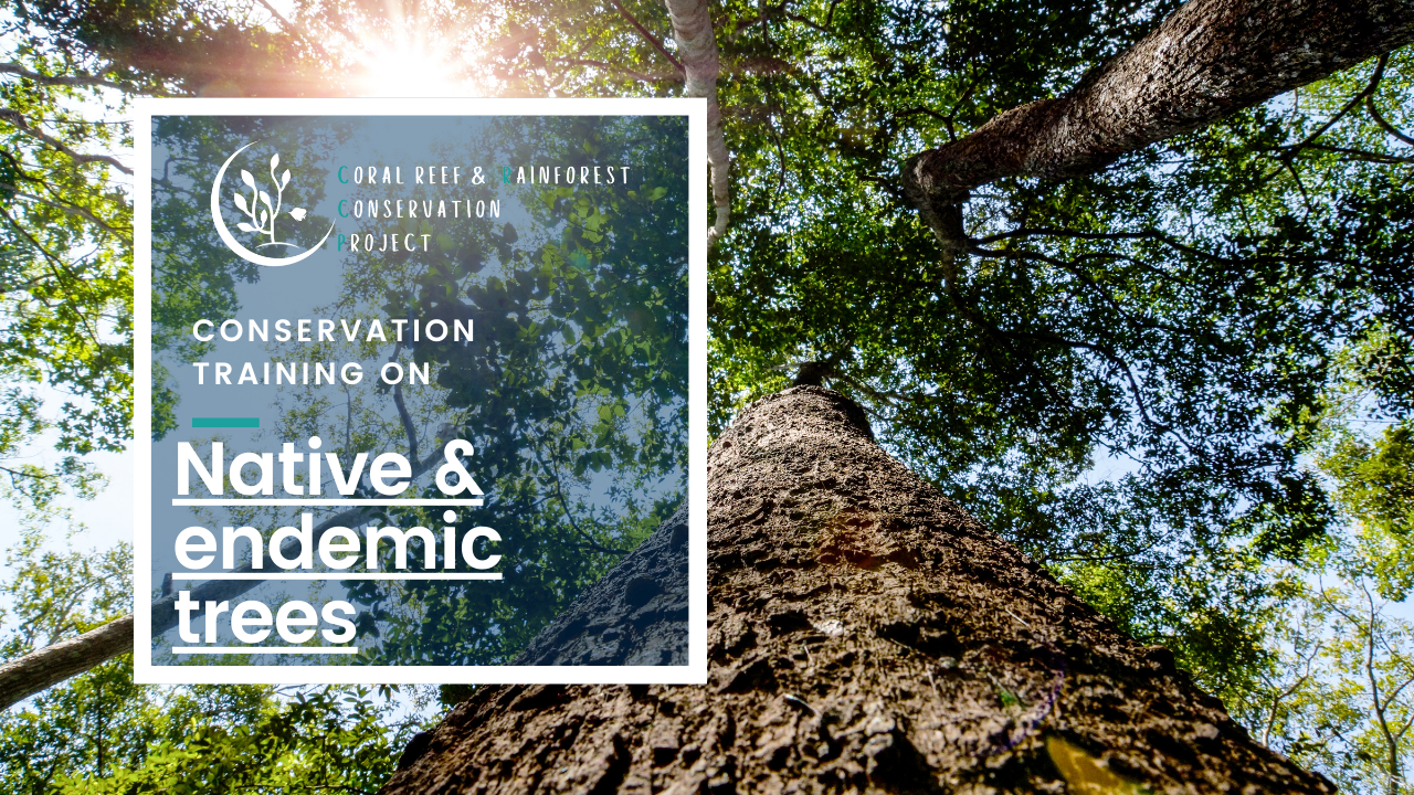 native-and-endemic-tree – Coral Reef and Rainforest Conservation Project