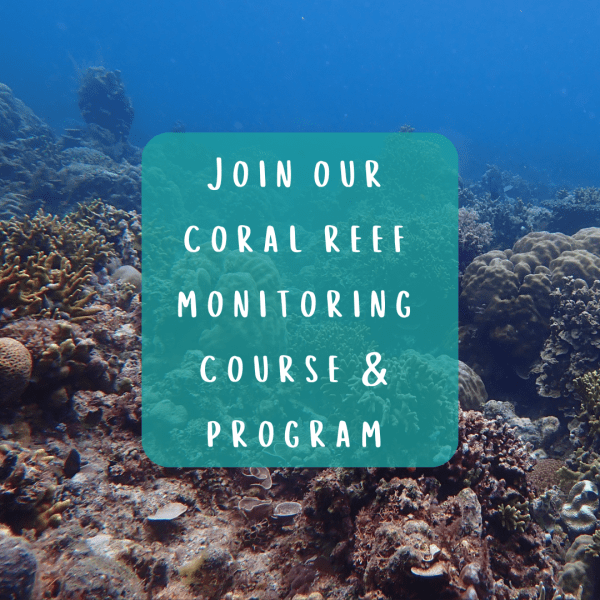 Volunteer – Coral Reef and Rainforest Conservation Project