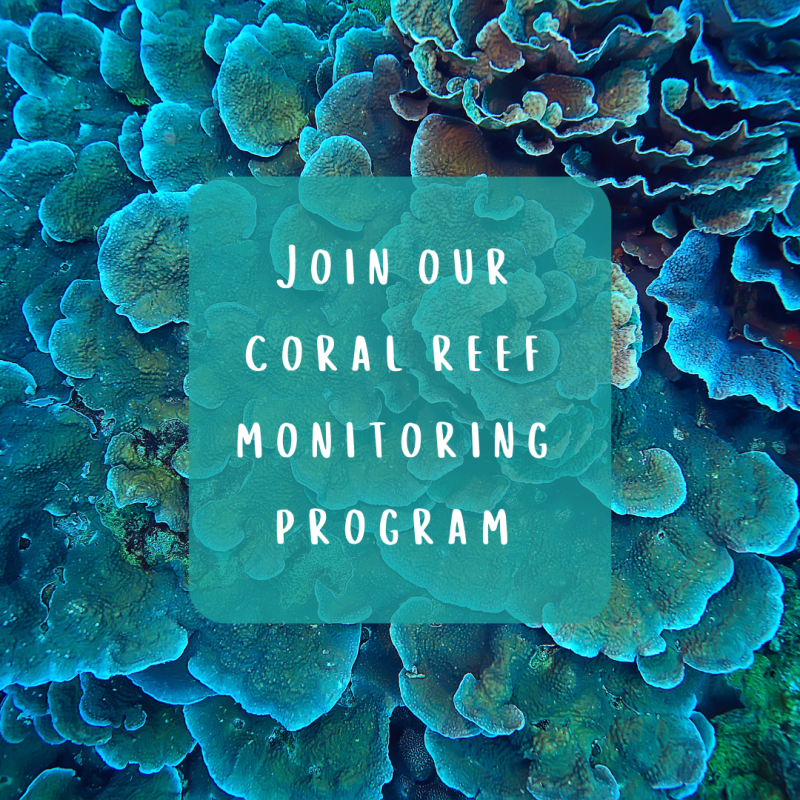 Volunteer – Coral Reef & Rainforest Conservation Project